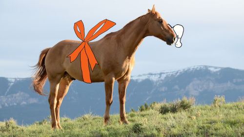 Hoe zeg je "een gegeven paard niet in de bek kijken" in het Engels?